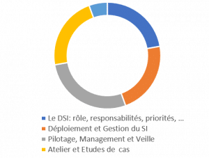 LE DIRECTEUR DU SYSTÈME D’INFORMATION - DSI - Prediconsult